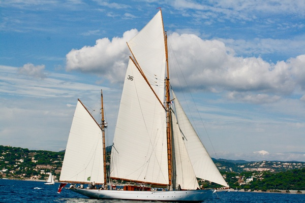 Les Voiles de Saint-Tropez, a prestigious international event — Savills